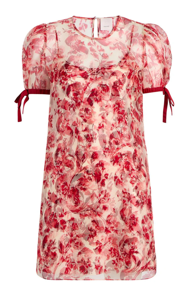 Floral Ribbons Junette Dress in Cherry Red – NK Boutique Lafayette